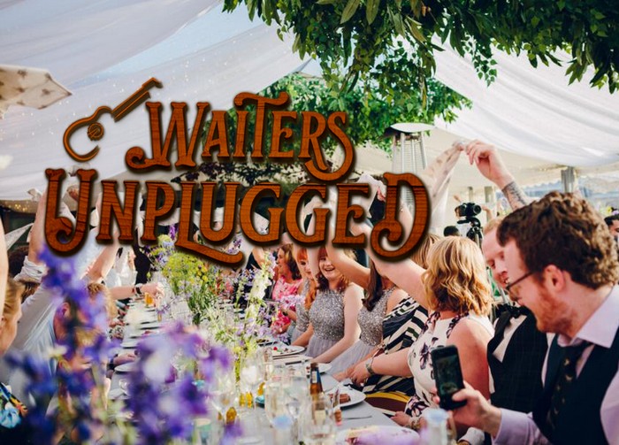 Surprise Shows Singing Waiters - Experts In Celebration.